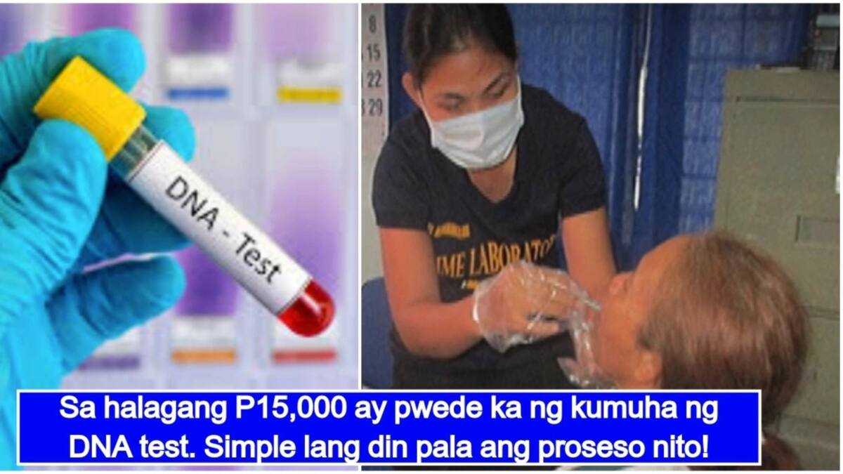 Gusto mo bang makasiguro? Eto ang halaga ng DNA test at prosesong ...