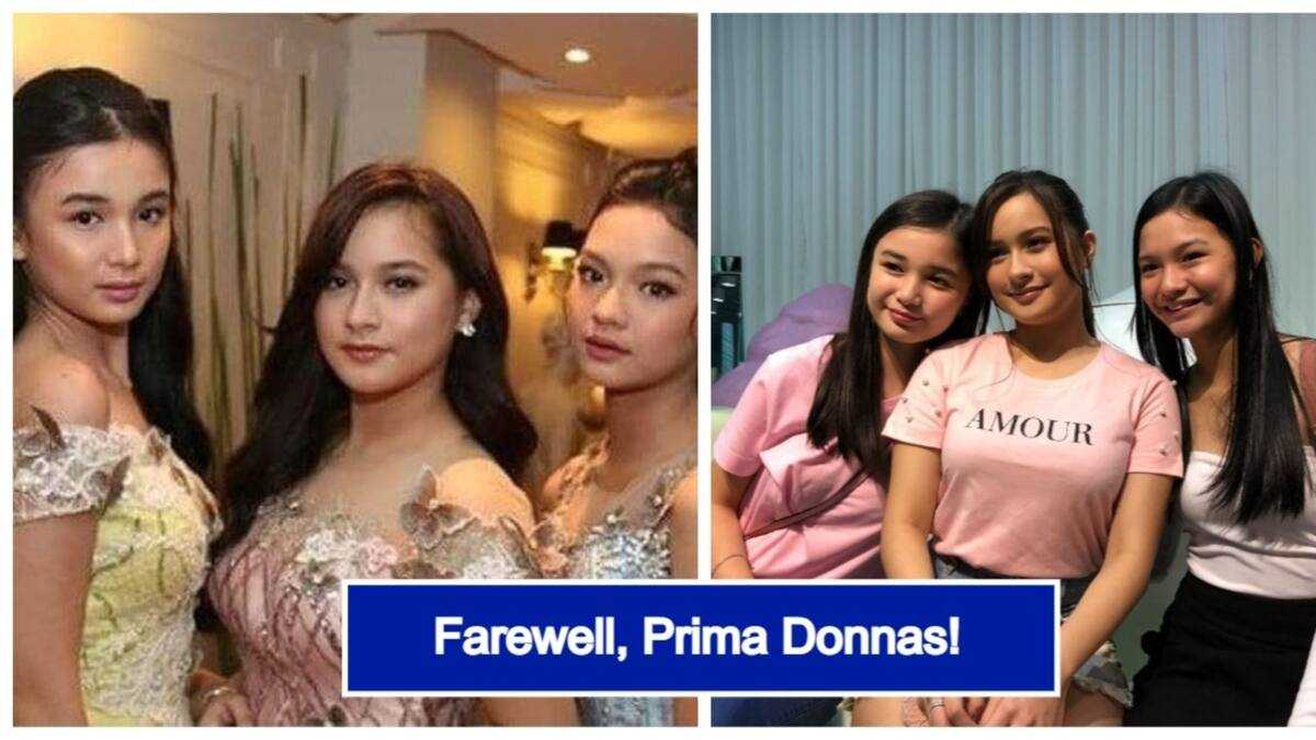 ‘Prima Donnas’ final episode predictions collected by series cast ...