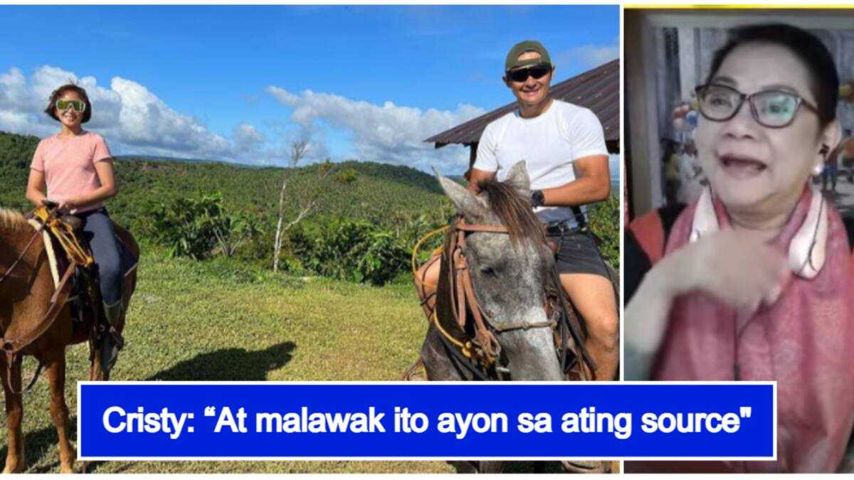 Sarah Geronimo at Matteo Guidicelli, bumili raw ng malawak na farm ...