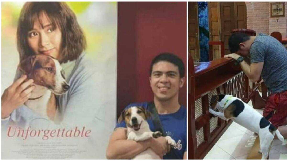 Dog trainer of Sarah Geronimo’s dog in ‘Unforgettable’ seeks aid for ...