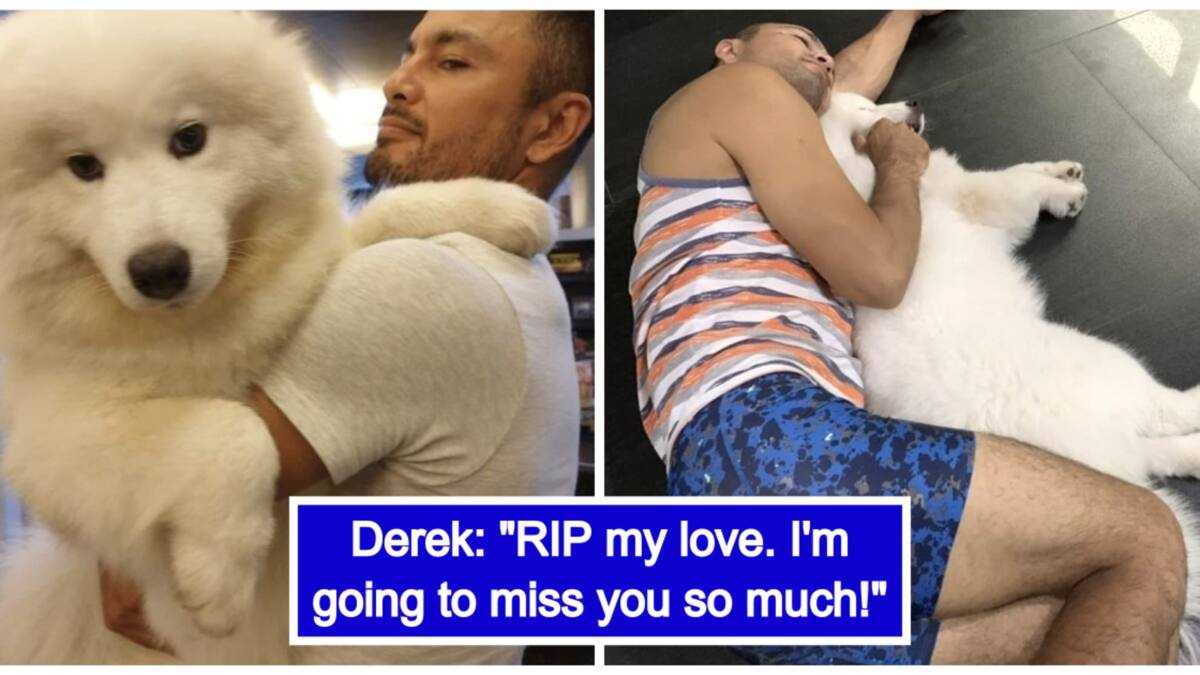 Derek Ramsay, labis na ikinalungkot ang pagkamatay ng kanyang alagang ...