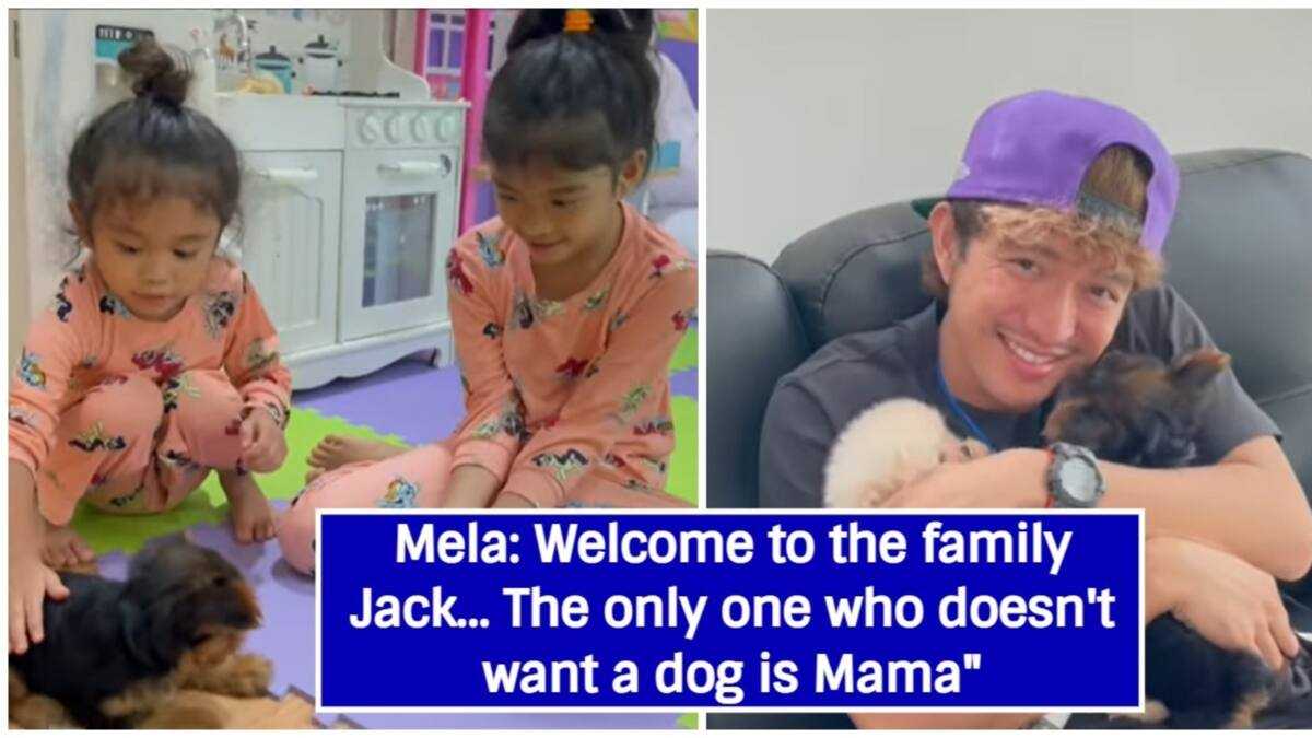 Jason, Mela at Steya, ipinakilala ang bagong alaga ng kanilang pamilya ...