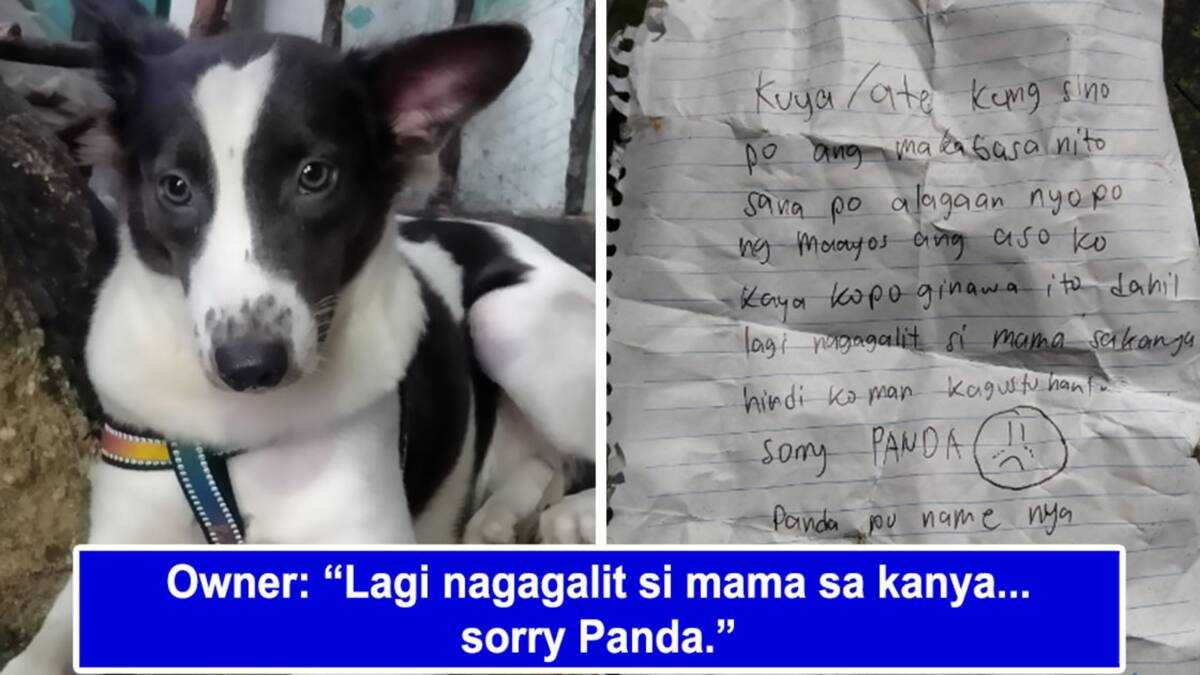 Malungkot na liham ng may-ari ng asong si Panda, viral: "Alagaan niyo ...