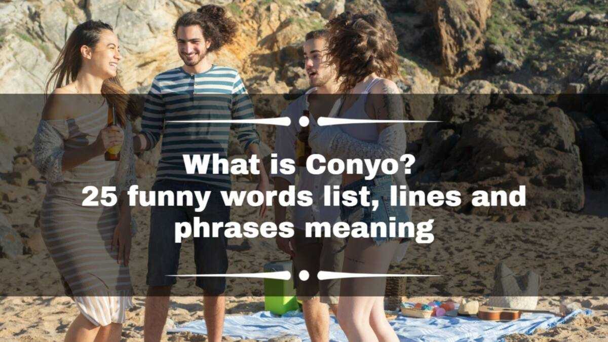 What is Conyo? 25 funny words list, lines and phrases meaning - KAMI.COM.PH