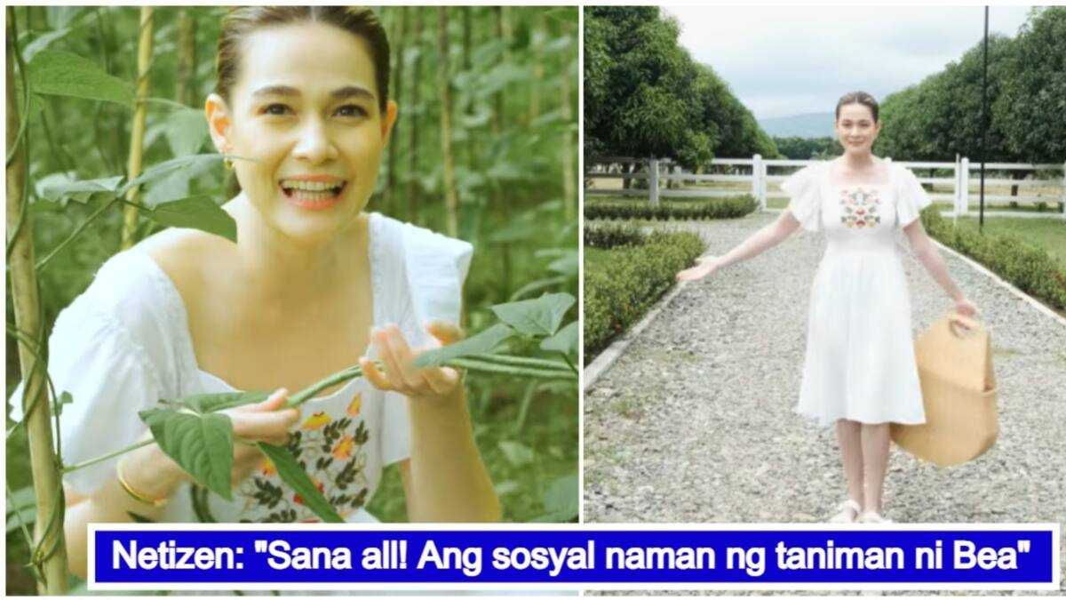 Bea Alonzo gives a tour of her mother's new vegetable farm in Beati ...
