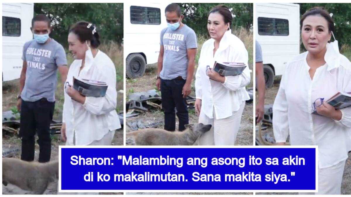 Sharon Cuneta, humingi ng tulong sa paghahanap ng isang aspin sa Olongapo - KAMI.COM.PH