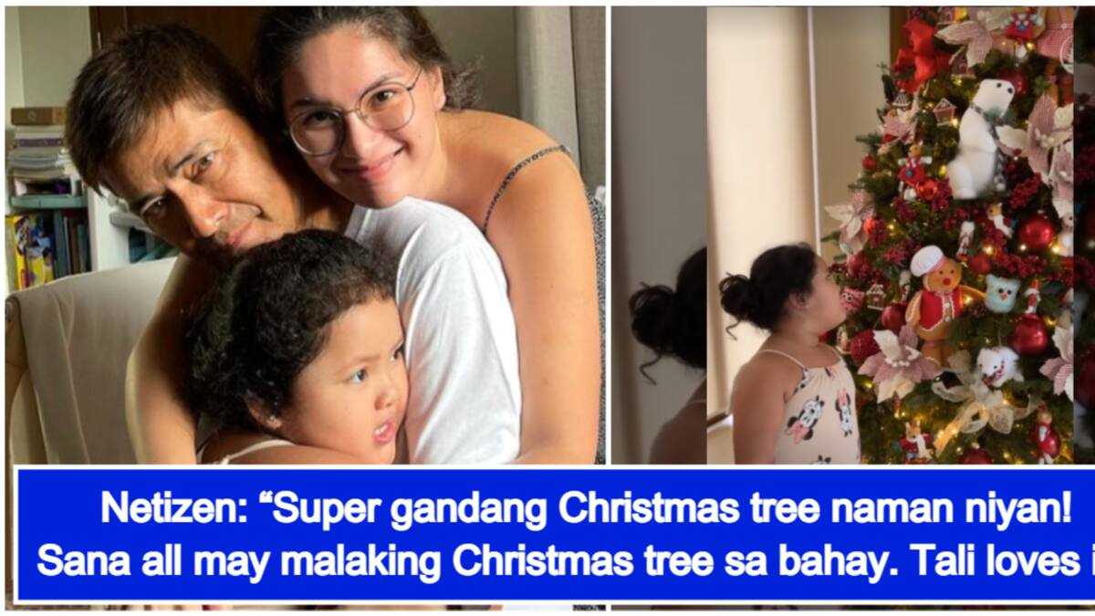 Tali Sotto, kinagiliwan ang bongga nilang Christmas tree sa bahay ...