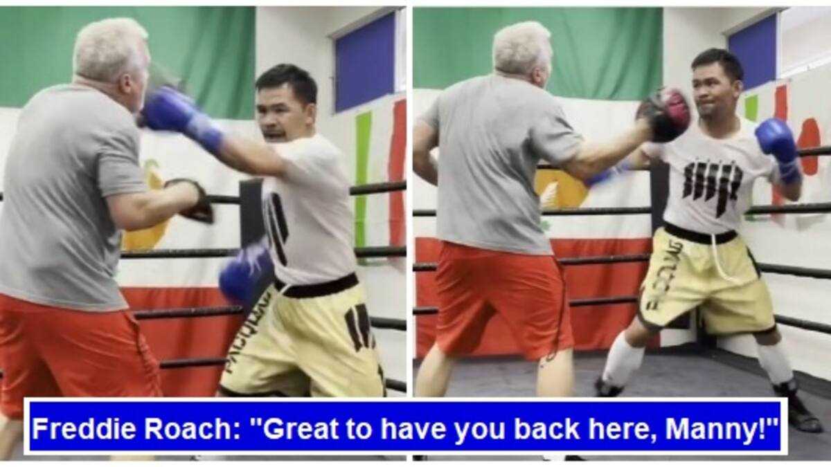 Pacquiao’s 1st day of training with Freddie Roach for Spence fight goes ...