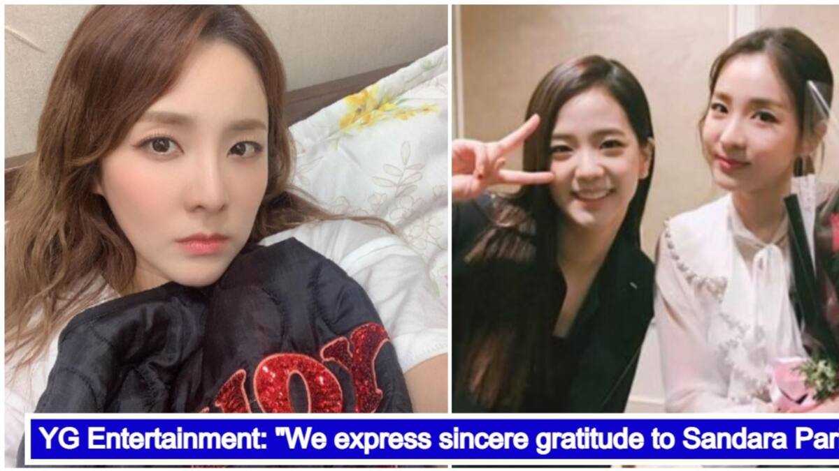 Sandara Park parts ways with BLACKPINK's talent agency, YG ...