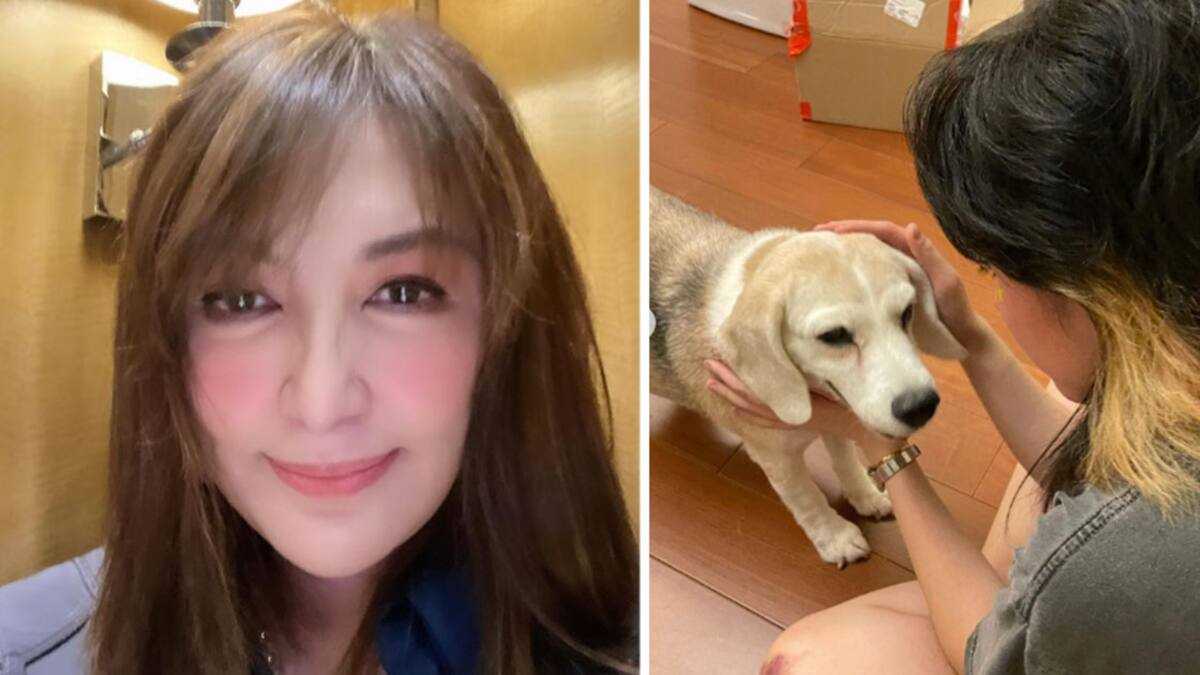 Sharon Cuneta mourns death of "Bea," their family's oldest dog: "We've ...