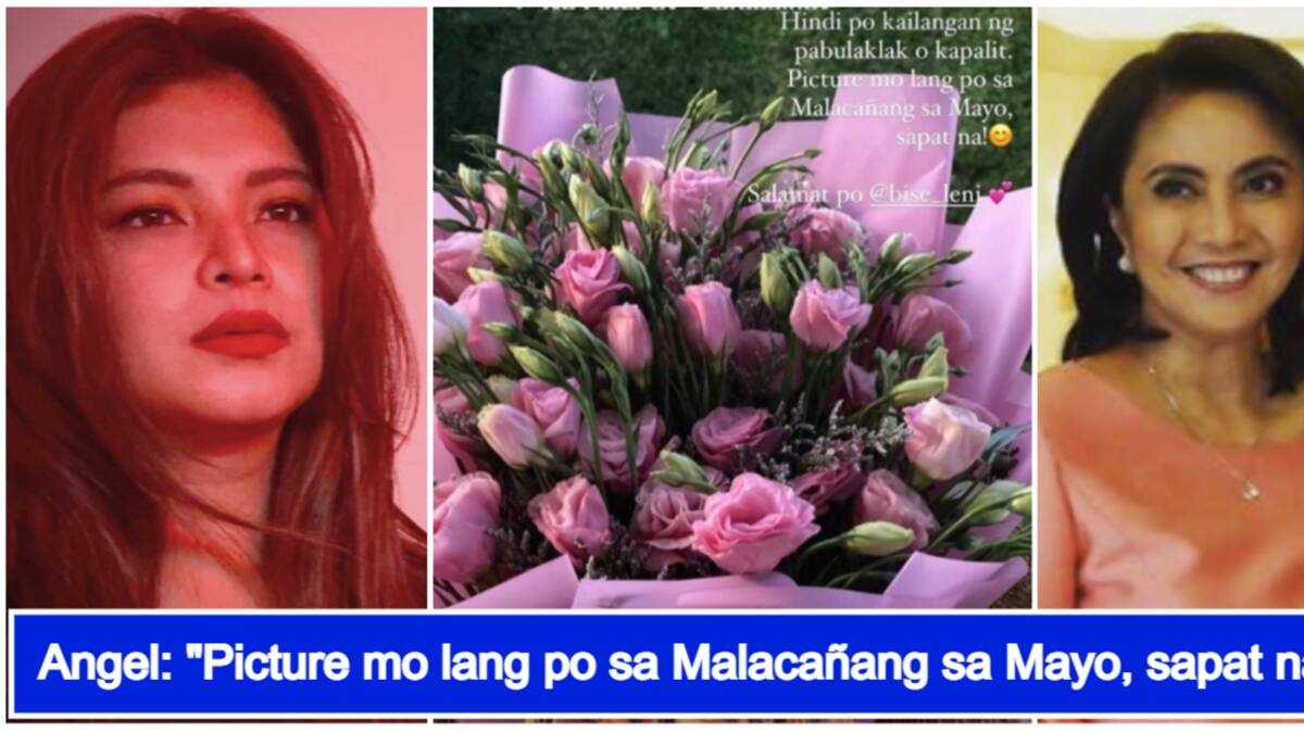 Angel Locsin pens heartfelt thank-you message to Leni Robredo for ...