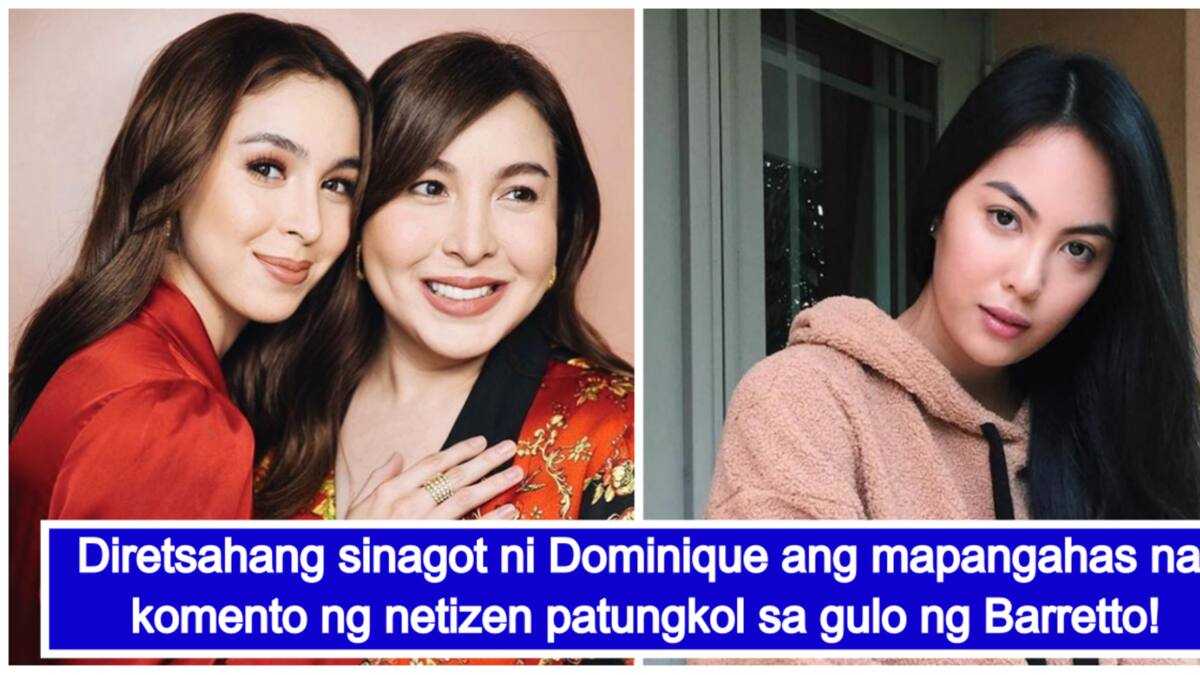 Dominique Cojuangco responds to netizen's strong opinion amid Barretto ...