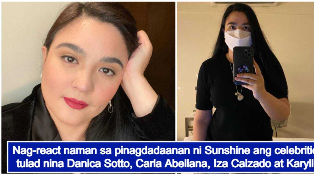 Sunshine Dizon diagnosed with PTSD, other mental health conditions ...
