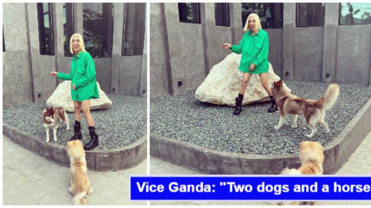 Vice Ganda delights netizens as he posts adorable pics with his fur ...