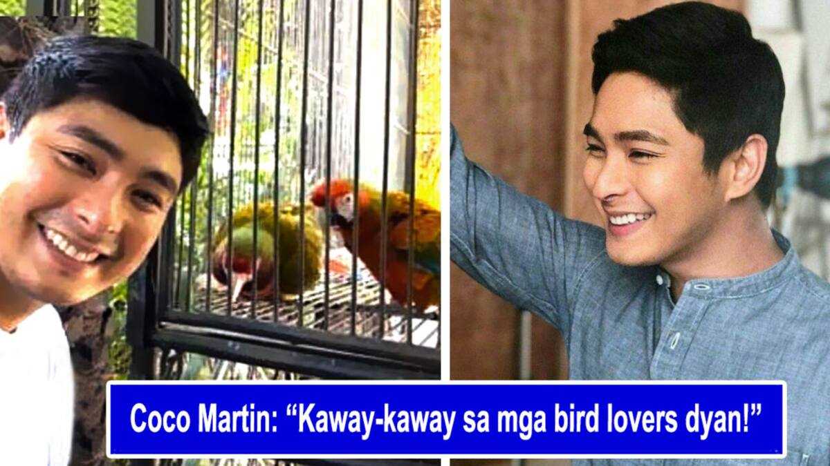 Coco Martin, kinaaliwan ng netizens mga pics kasama magagandang birdies ...