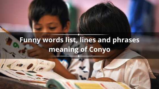 What is Conyo? 25 funny words list, lines and phrases meaning - KAMI.COM.PH