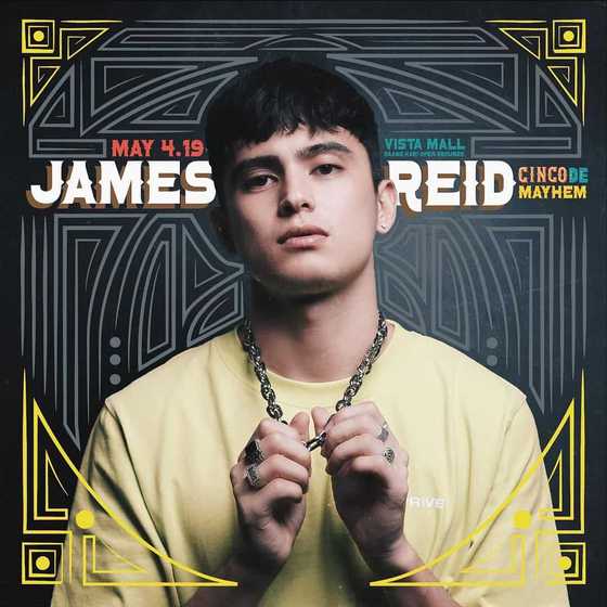James Reid bio: net worth, birthday, family, nationality, religion ...