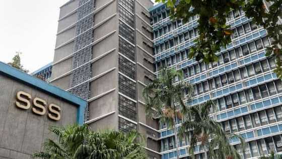 SSS branches 2020 in the Philippines: A comprehensive list - KAMI.COM.PH