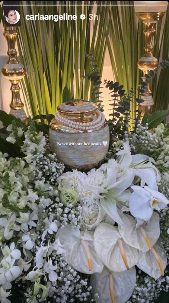 Carla Abellana, nagbahagi ng pasilip sa burol ni Delia Razon - KAMI.COM.PH