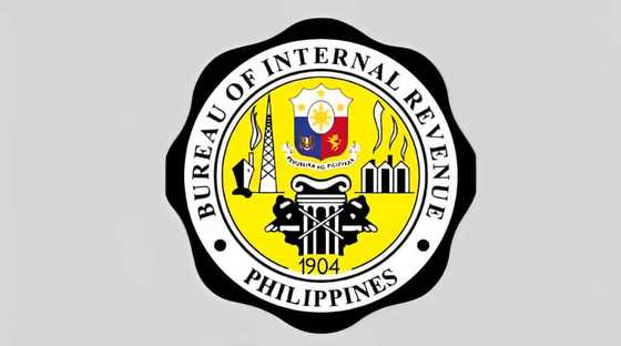 BIR Form 1905: how to fill up in 2023? Sample, latest version ...