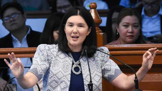 Risa Hontiveros bio: Husband, net worth, children, age - KAMI.COM.PH