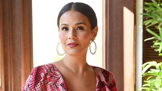 Pia Cayetano bio: family, husband, net worth, age, latest news - KAMI ...