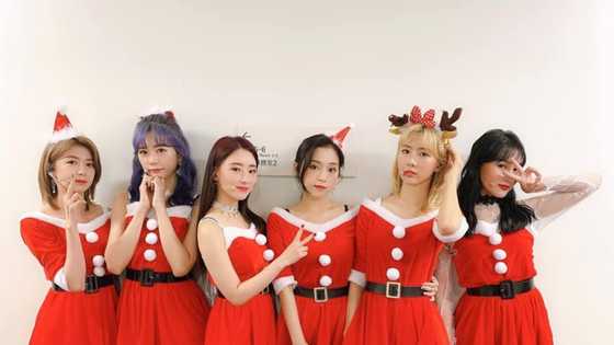 G-IDLE members profile: names, ages, position, fun facts - KAMI.COM.PH