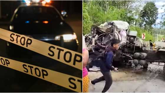 8 out of 12 sealed luxury cars of the Discayas show no records lodged with the Bureau of Customs ...