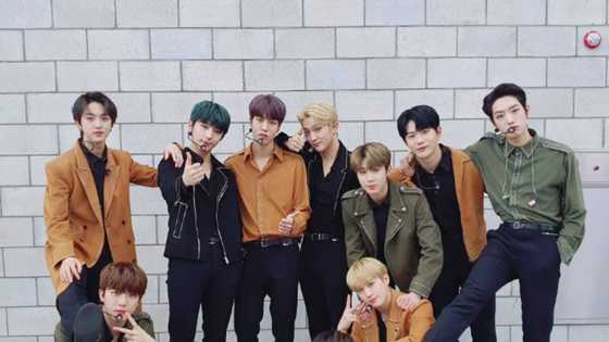 Momoland members profile: full names, height, age, latest news - KAMI ...