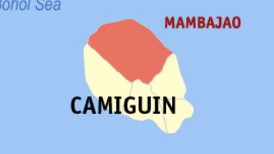 Rep. Terry Ridon pushes back against Pokwang’s claims after brother’s ...