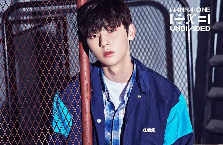 Wanna One members profile: age, leaders, birthday, songs, awards - KAMI ...