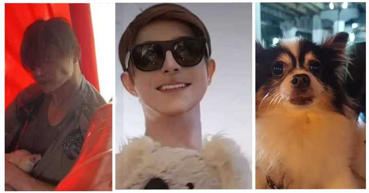 Aso ng TikToker na si Medwin Frias, naibalik na sa kanila - KAMI.COM.PH