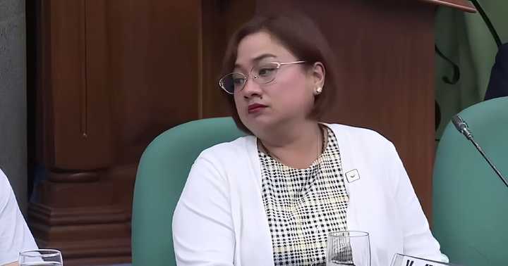 Contractor Sarah Discaya defends lavish lifestyle, links family wealth ...