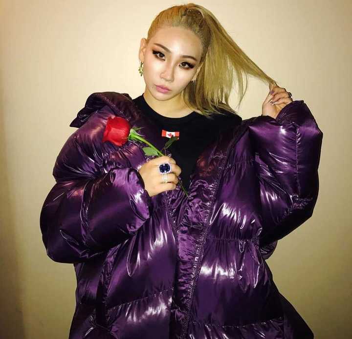 2ne1 members profile: age, birthday, position, cars - KAMI.COM.PH