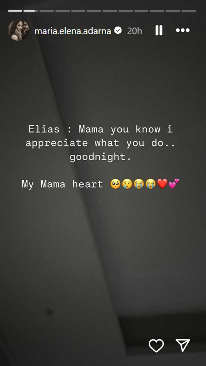 Ellen Adarna, naantig sa sinabi ni Elias na naa-appreciate siya nito ...